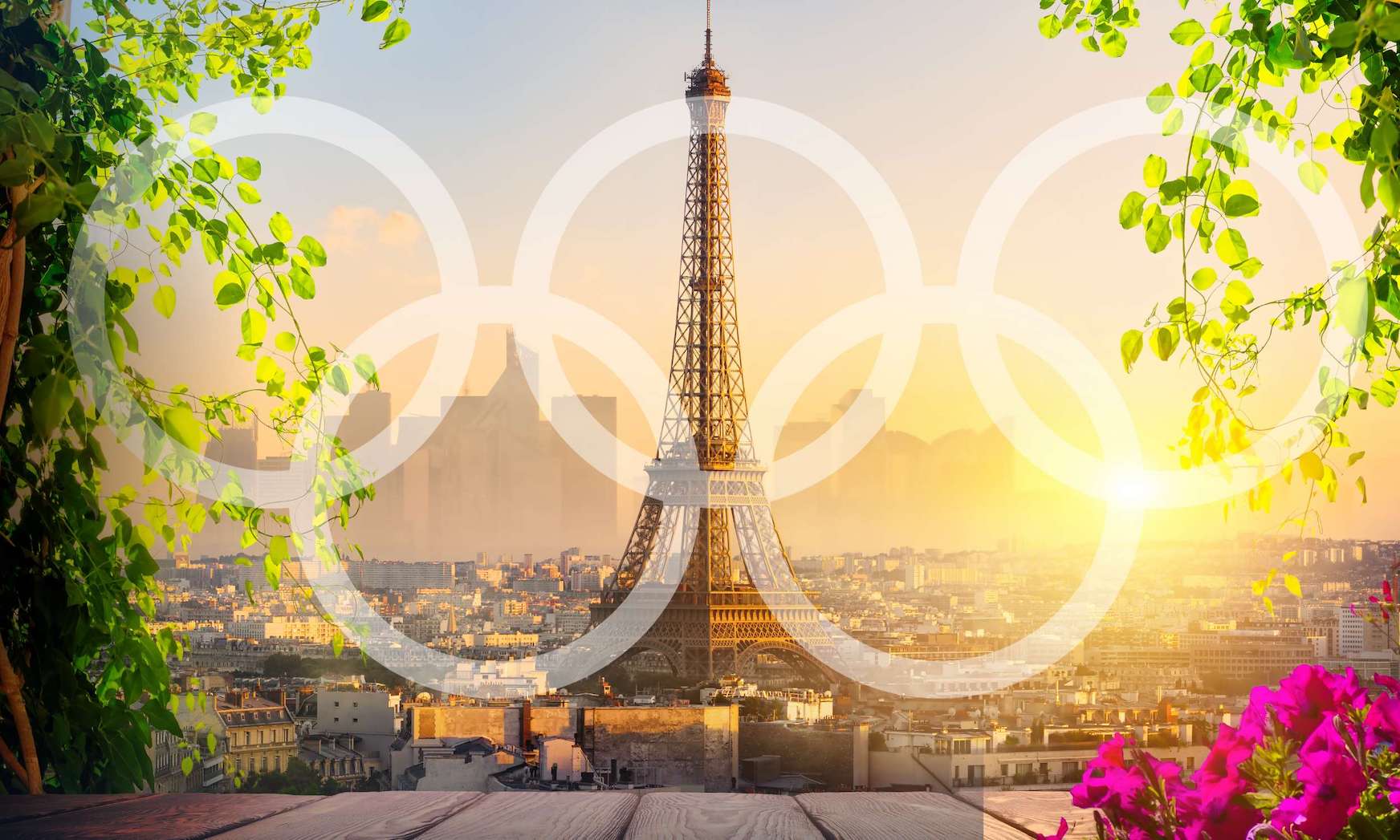 Paris Olympics Embraces Plant Based Dining – Eco Valley